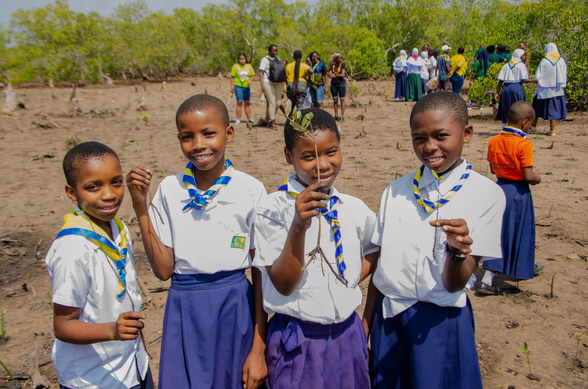Home - Tanzania Girl Guides Association